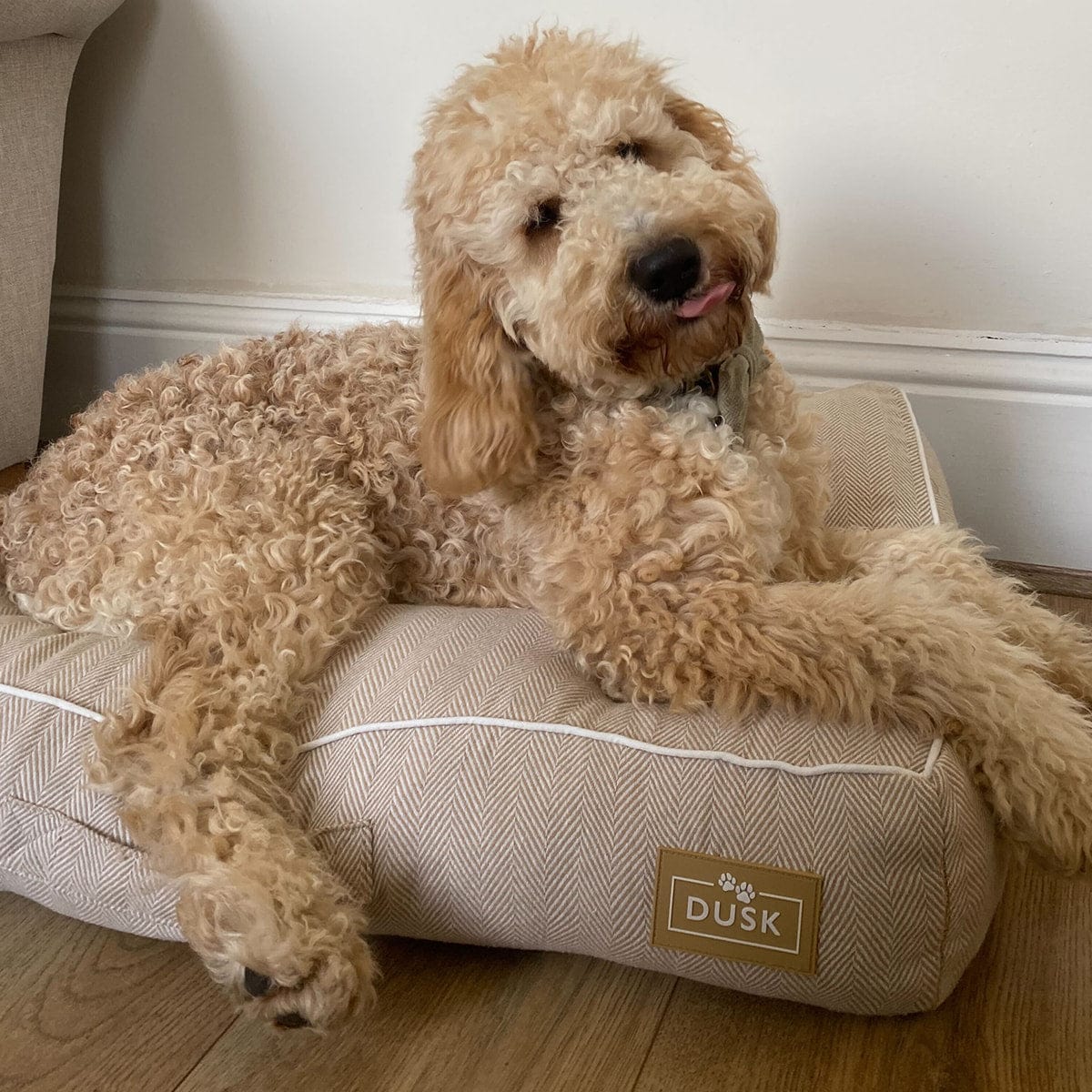 Dog Beds & Pet Accessories – DUSK