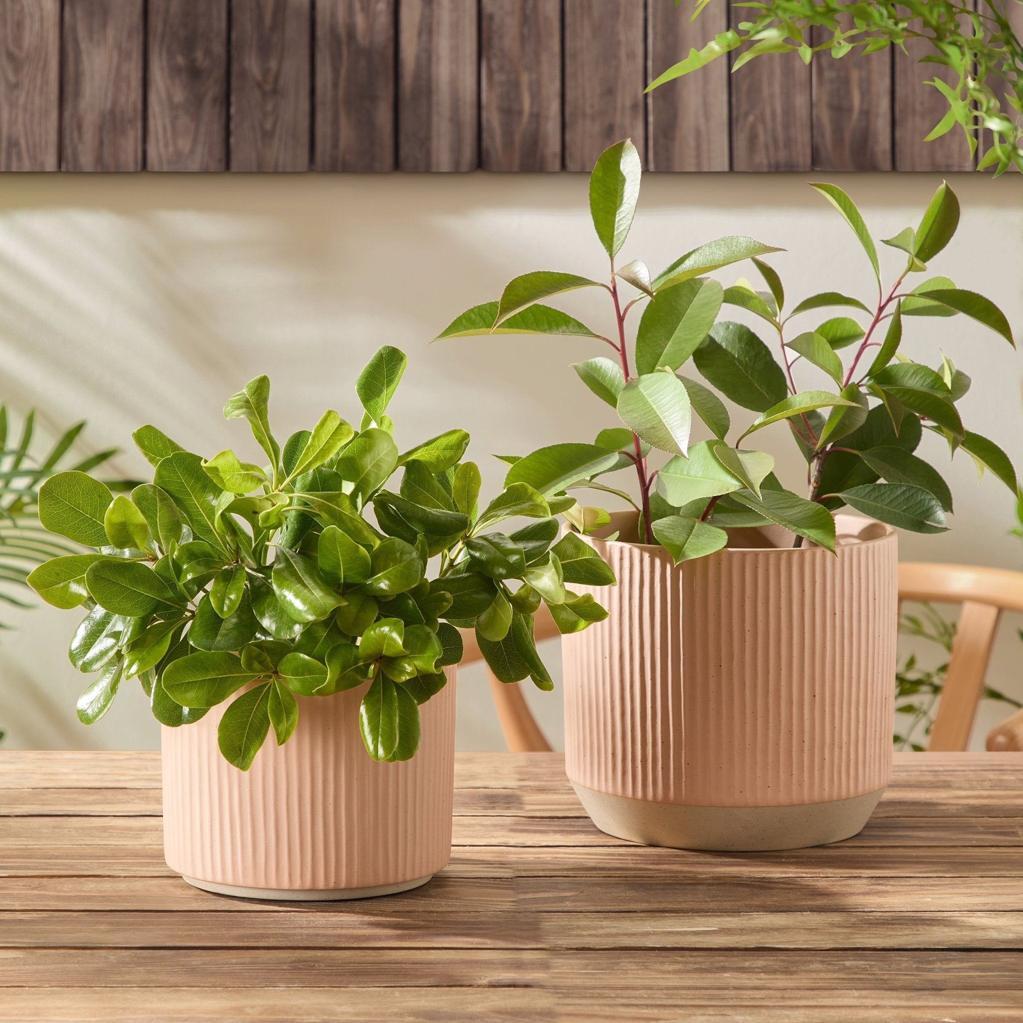 Flora Ribbed Clay Plant Pot - Pink – DUSK
