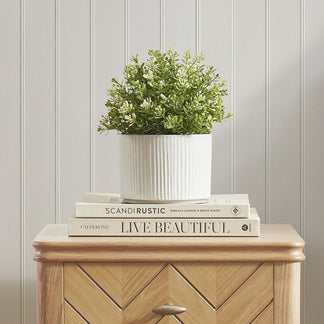 Flora Ribbed Clay Plant Pot - White – DUSK